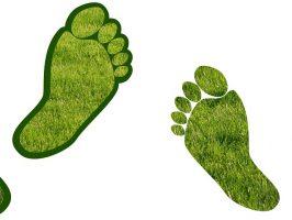 15 tips om je ecologische voetafdruk te verminderen | DIK.NL